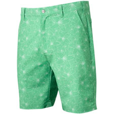 Men's Golf Shorts | Top Brands at Great Prices | TGW.com